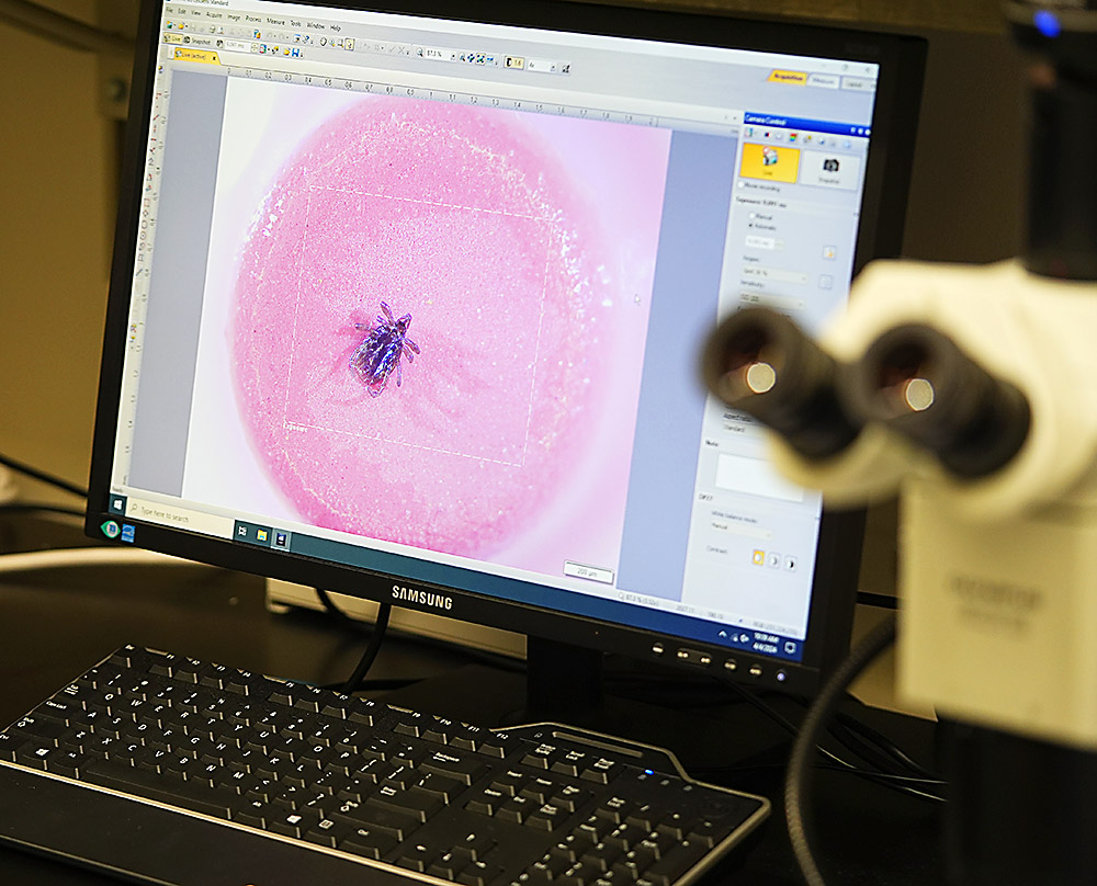 Ticking all the boxes: Mild winter, other factors could boost tick ...